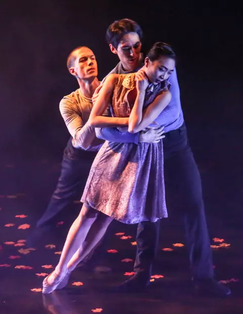 Tampa City Dance Center – Discover the joy of dance